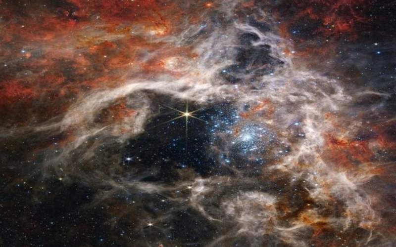 جیمز وب یک رتیل فضایی شکار کرد - بهار نیوز